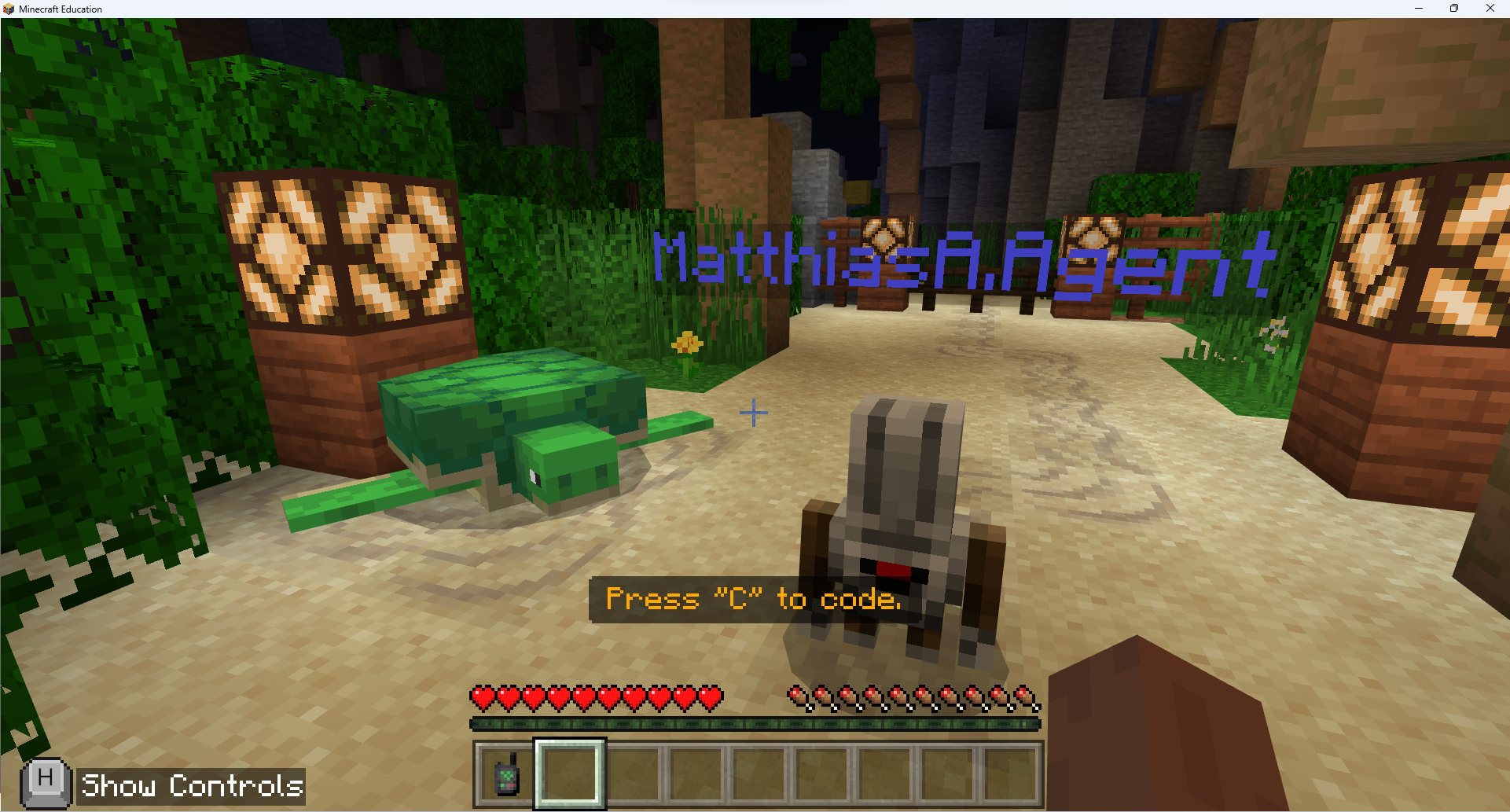 Minecraft Education Edition Introduction